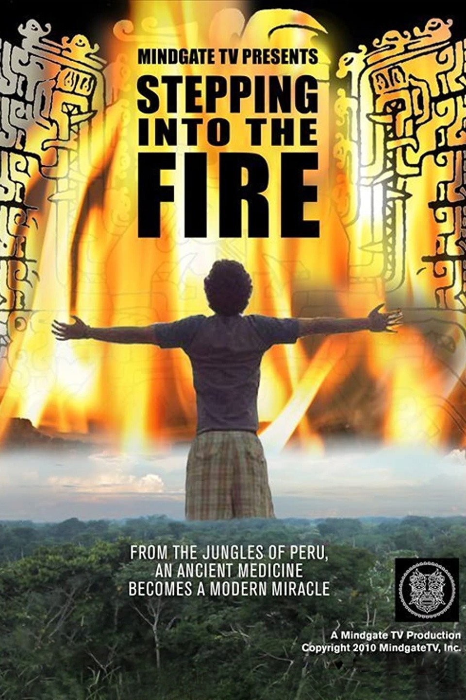 Stepping Into the Fire - Rotten Tomatoes