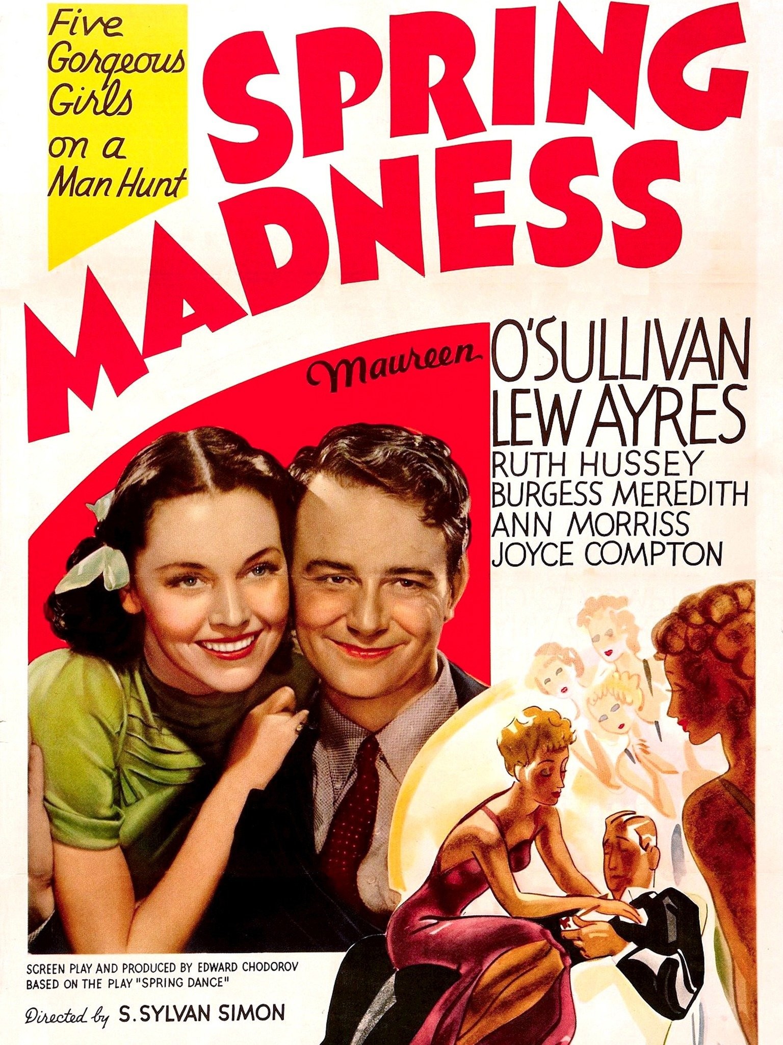 Spring Madness Pictures | Rotten Tomatoes