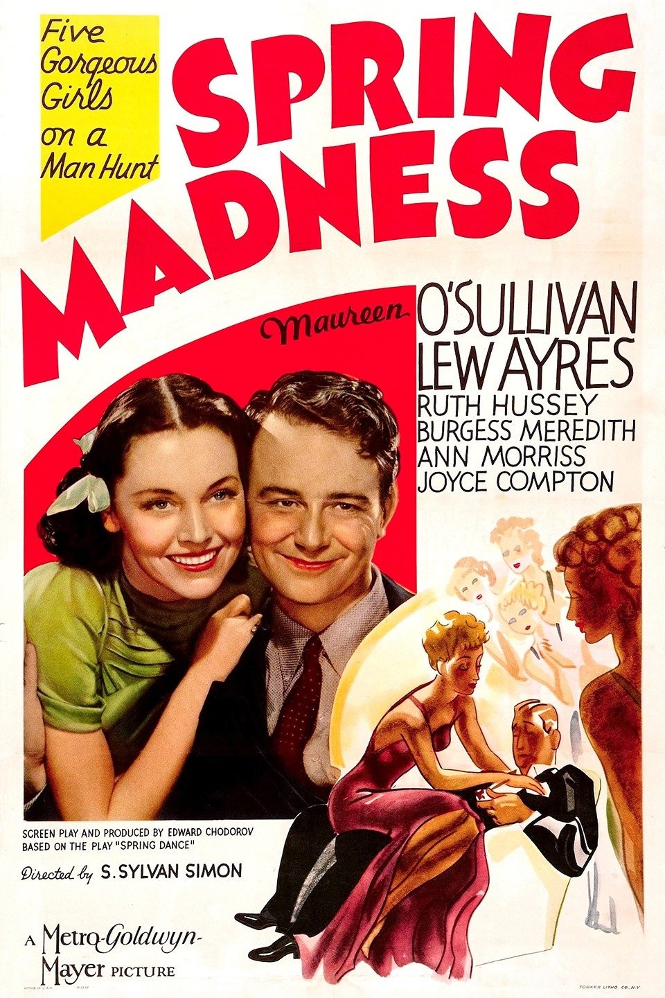 Spring Madness Pictures | Rotten Tomatoes