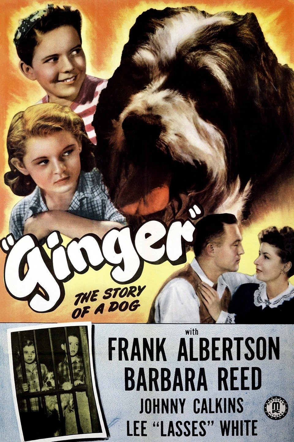 Ginger | Rotten Tomatoes