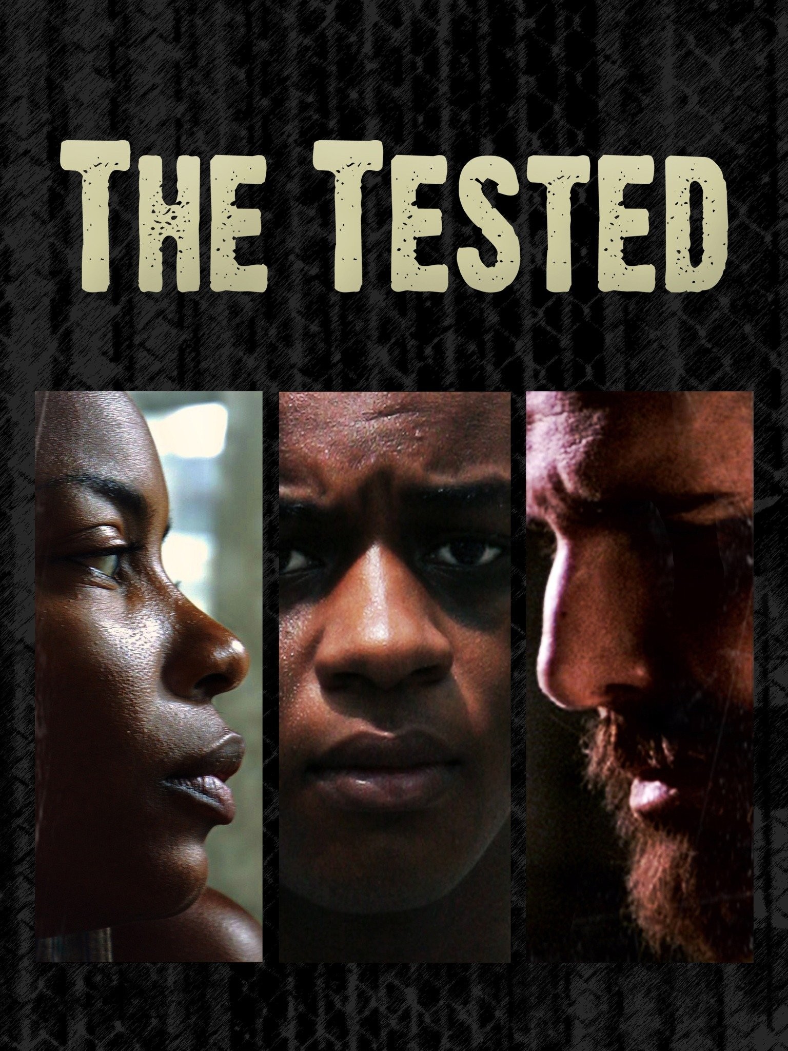 The Tested Pictures | Rotten Tomatoes
