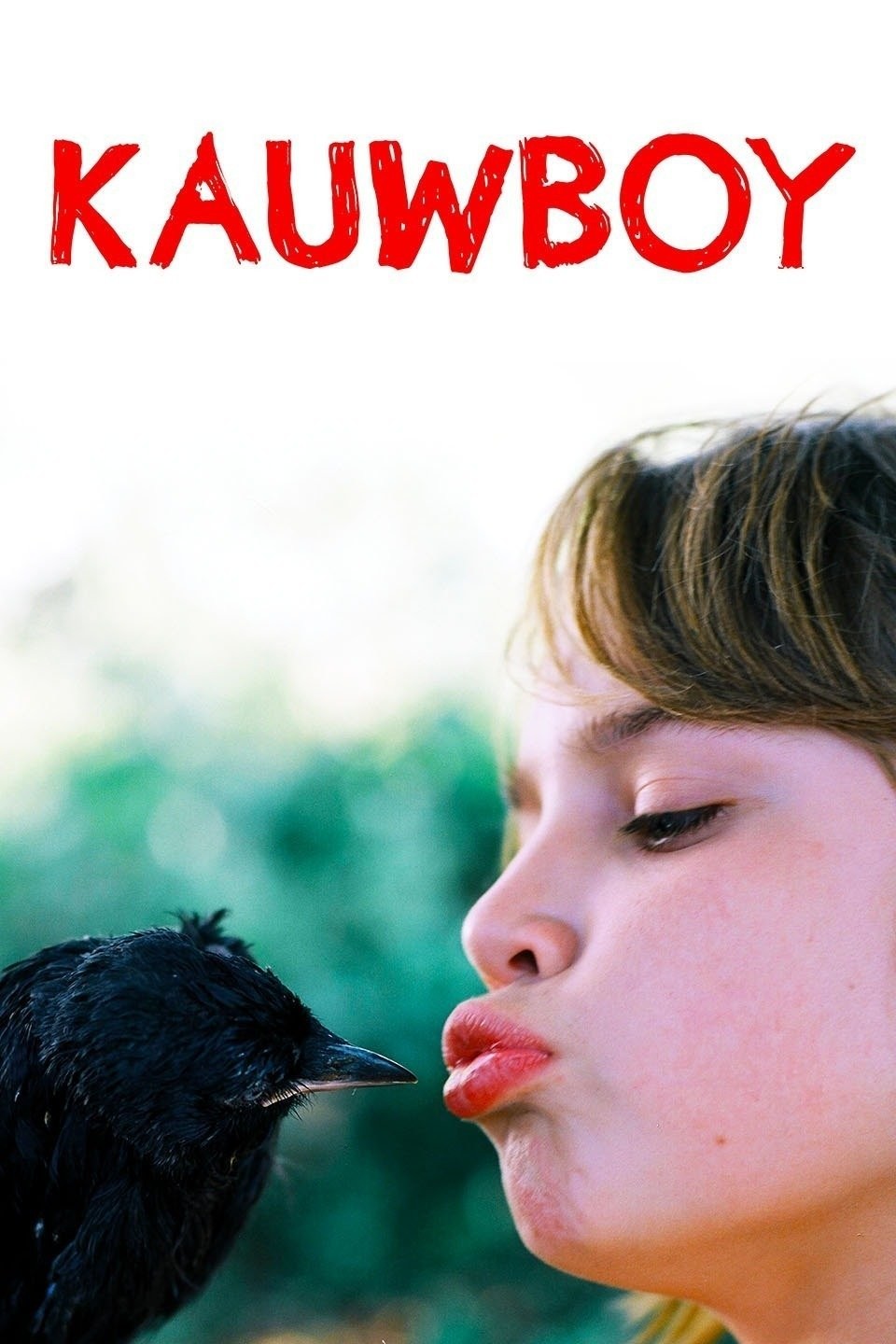 Kauwboy | Rotten Tomatoes