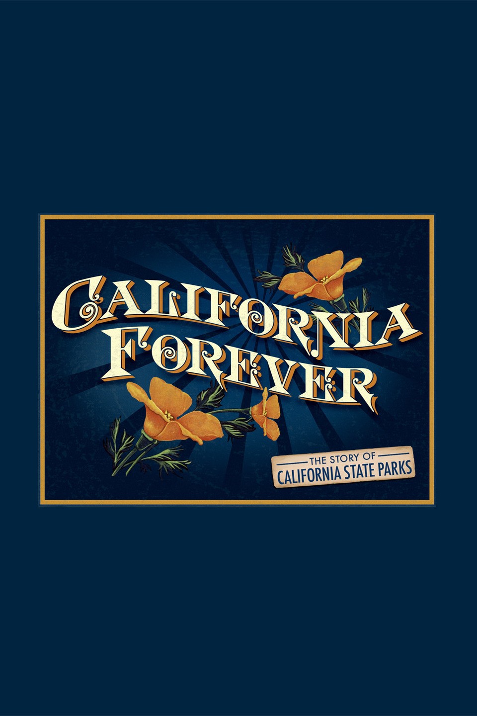California Forever | Rotten Tomatoes