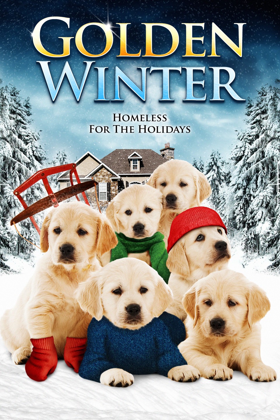 Golden Winter | Rotten Tomatoes