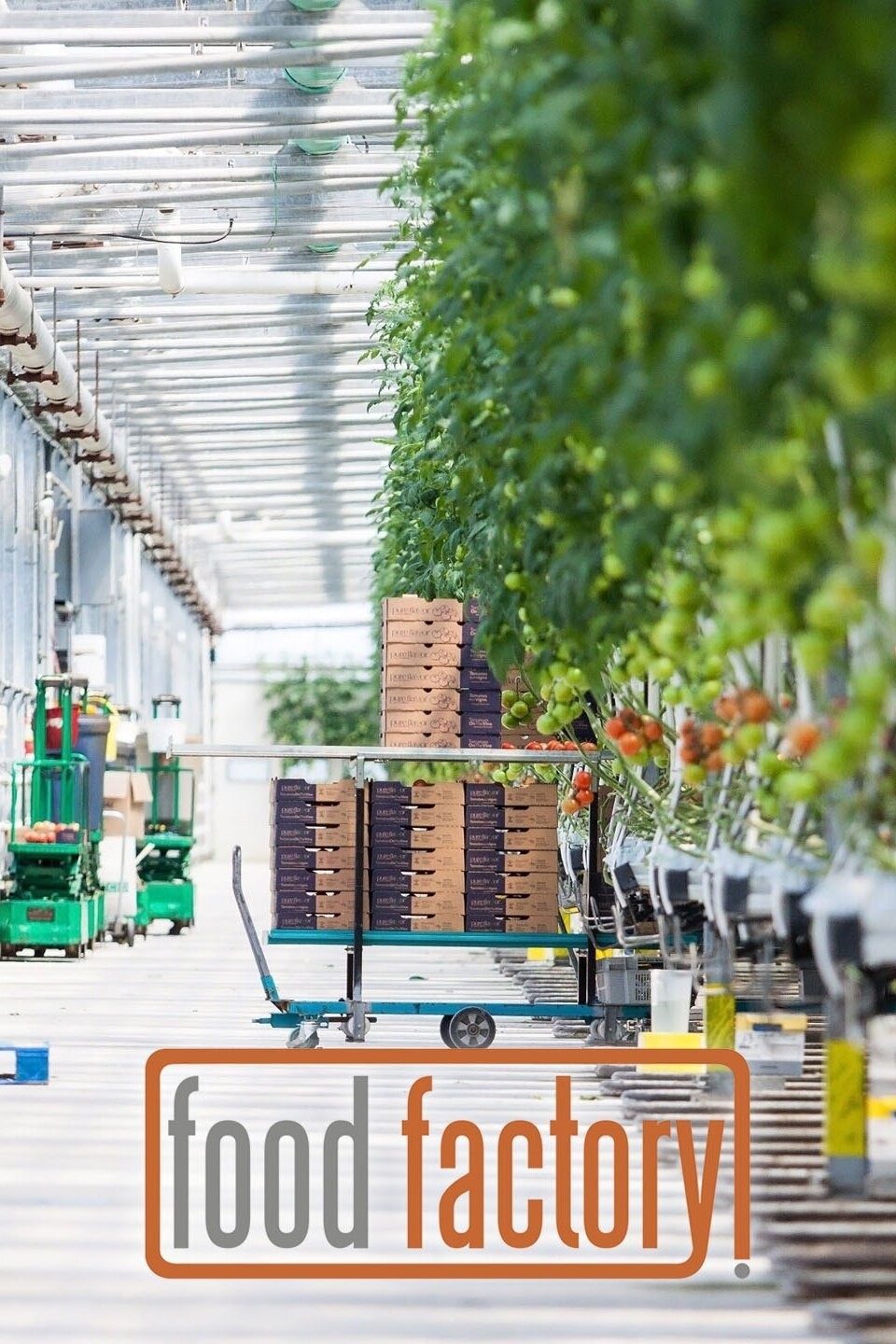 Food Factory Season 1 | Rotten Tomatoes