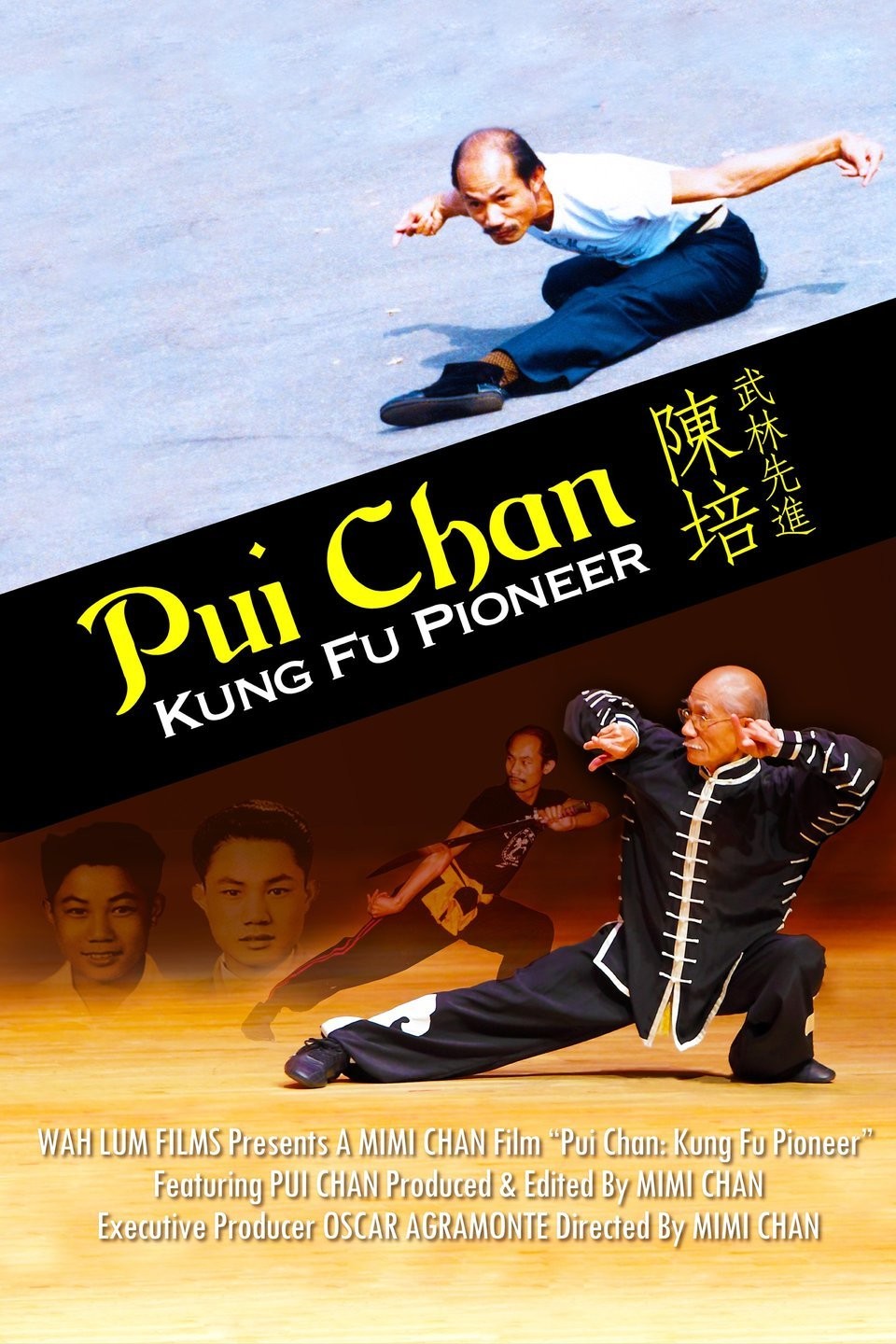 Pui Chan: Kung Fu Pioneer | Rotten Tomatoes