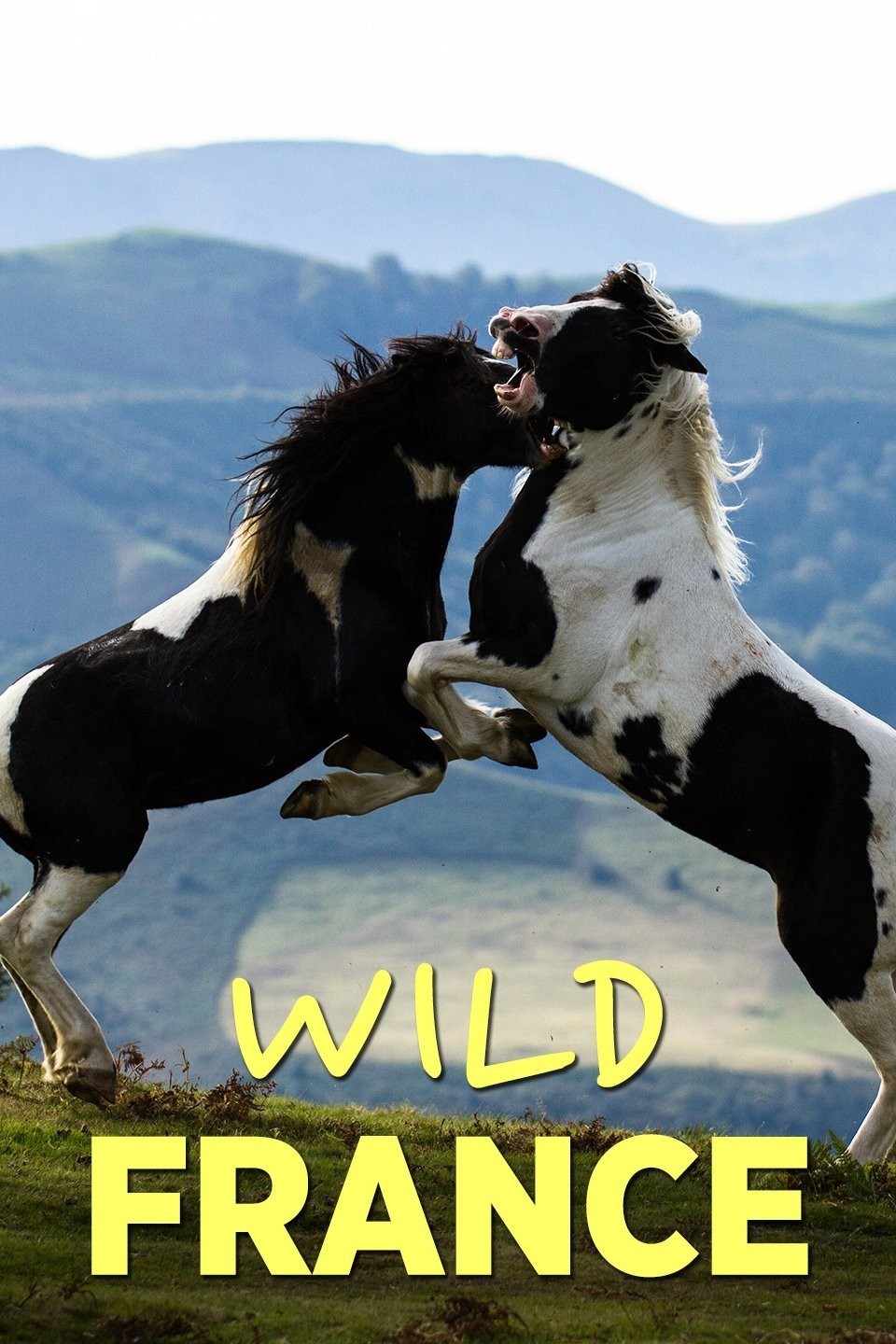 Wild France Season 2 | Rotten Tomatoes