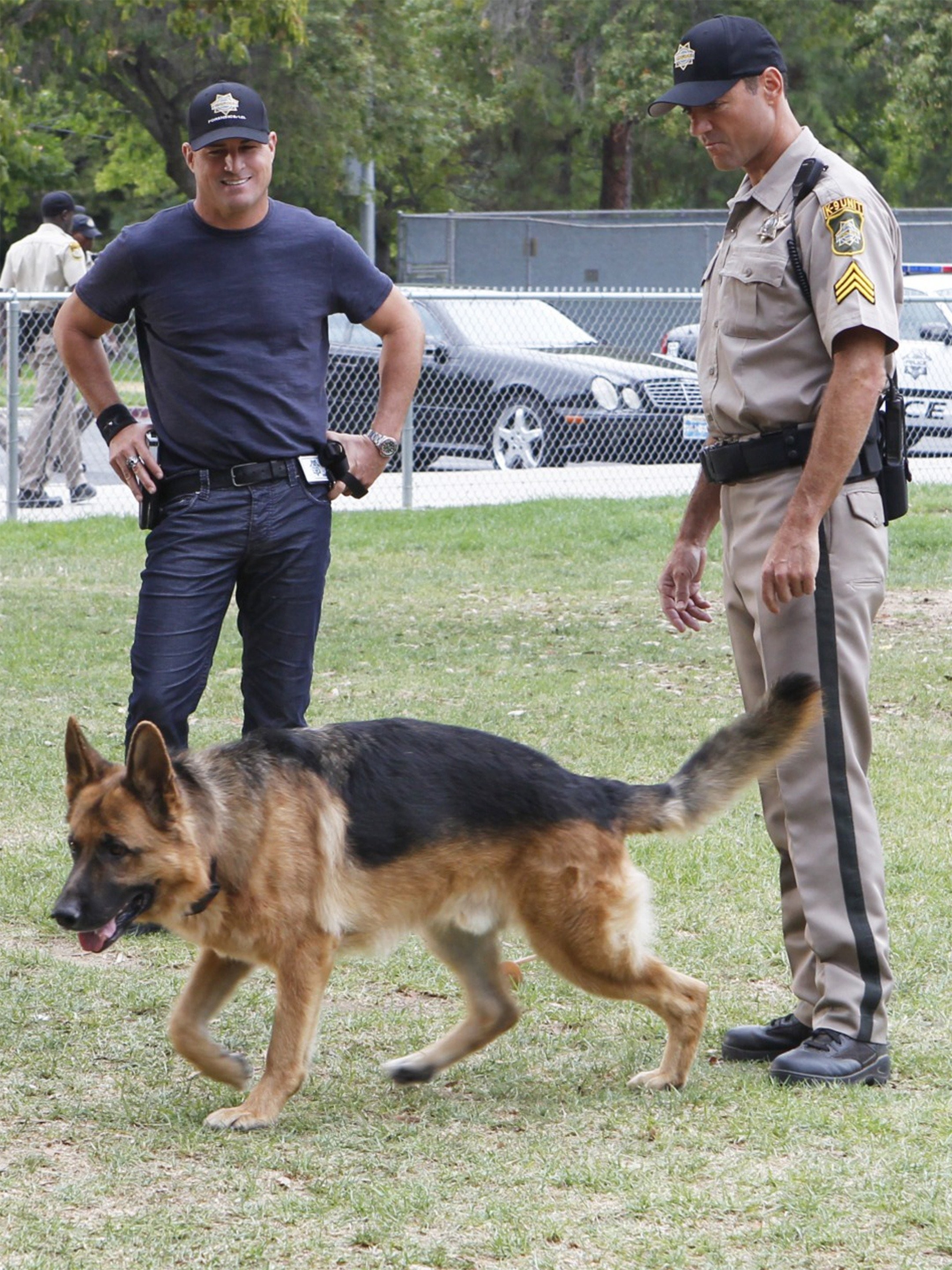 Play Dead Pictures | Rotten Tomatoes