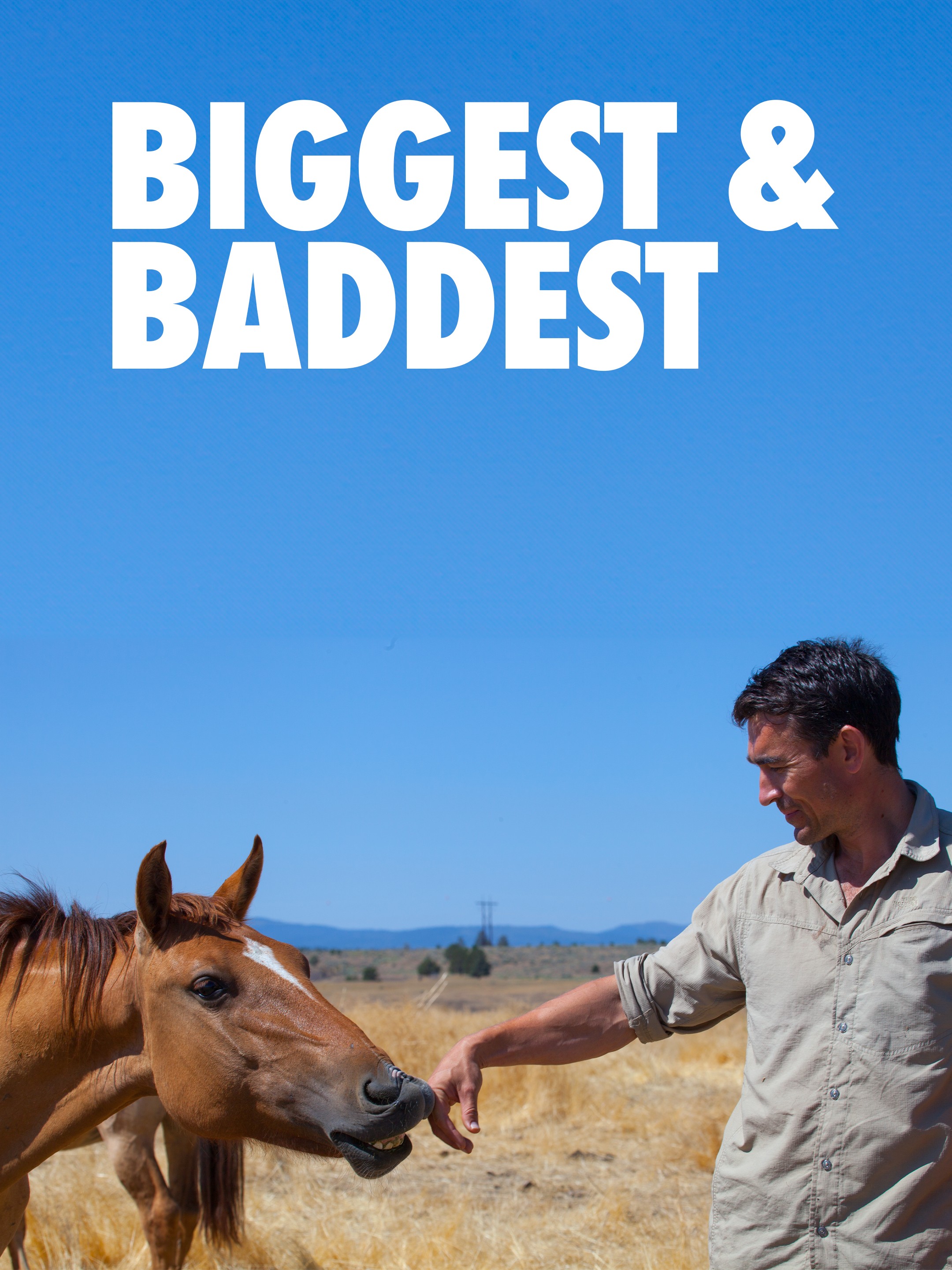 Biggest & Baddest Pictures | Rotten Tomatoes