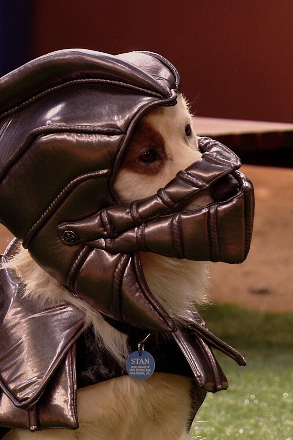 World of Woofcraft Pictures | Rotten Tomatoes