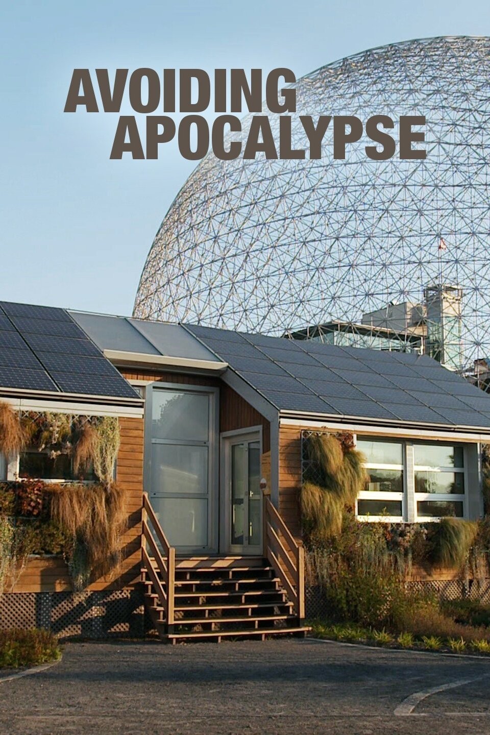 Avoiding Apocalypse | Rotten Tomatoes