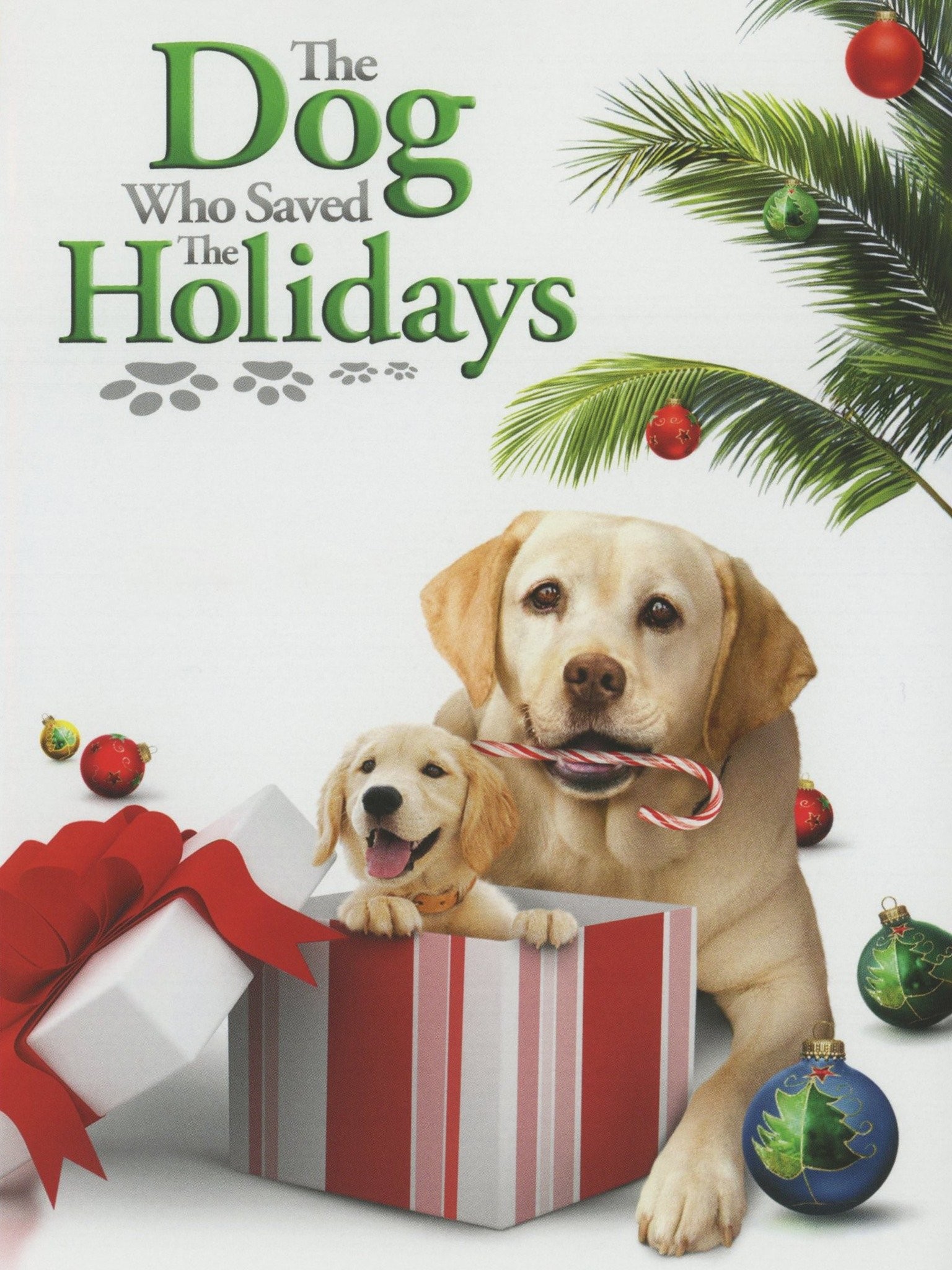The Dog Who Saved Christmas Cast