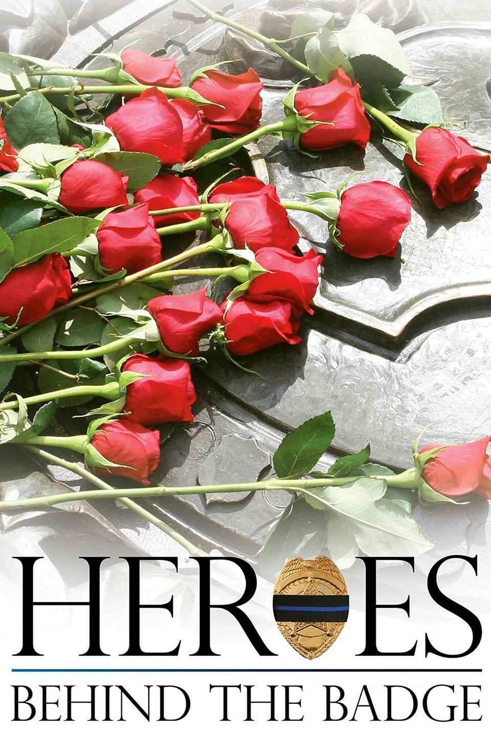 Heroes Behind the Badge | Rotten Tomatoes