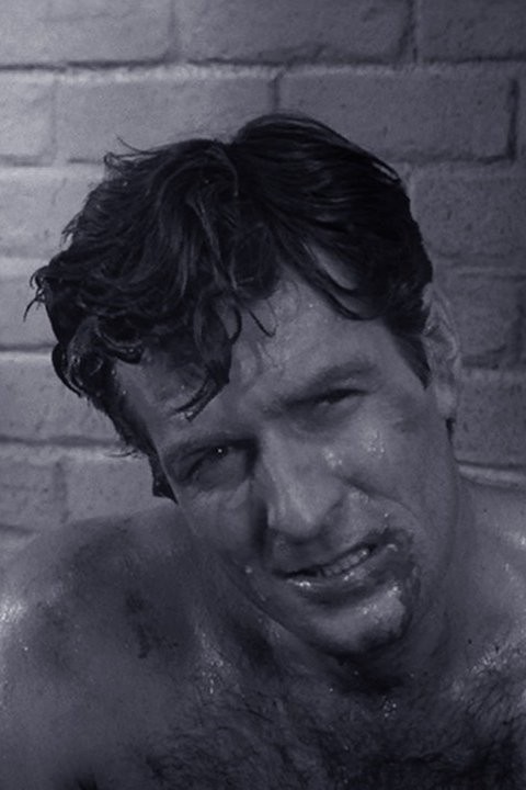 Wyatt's Love Affair Pictures | Rotten Tomatoes