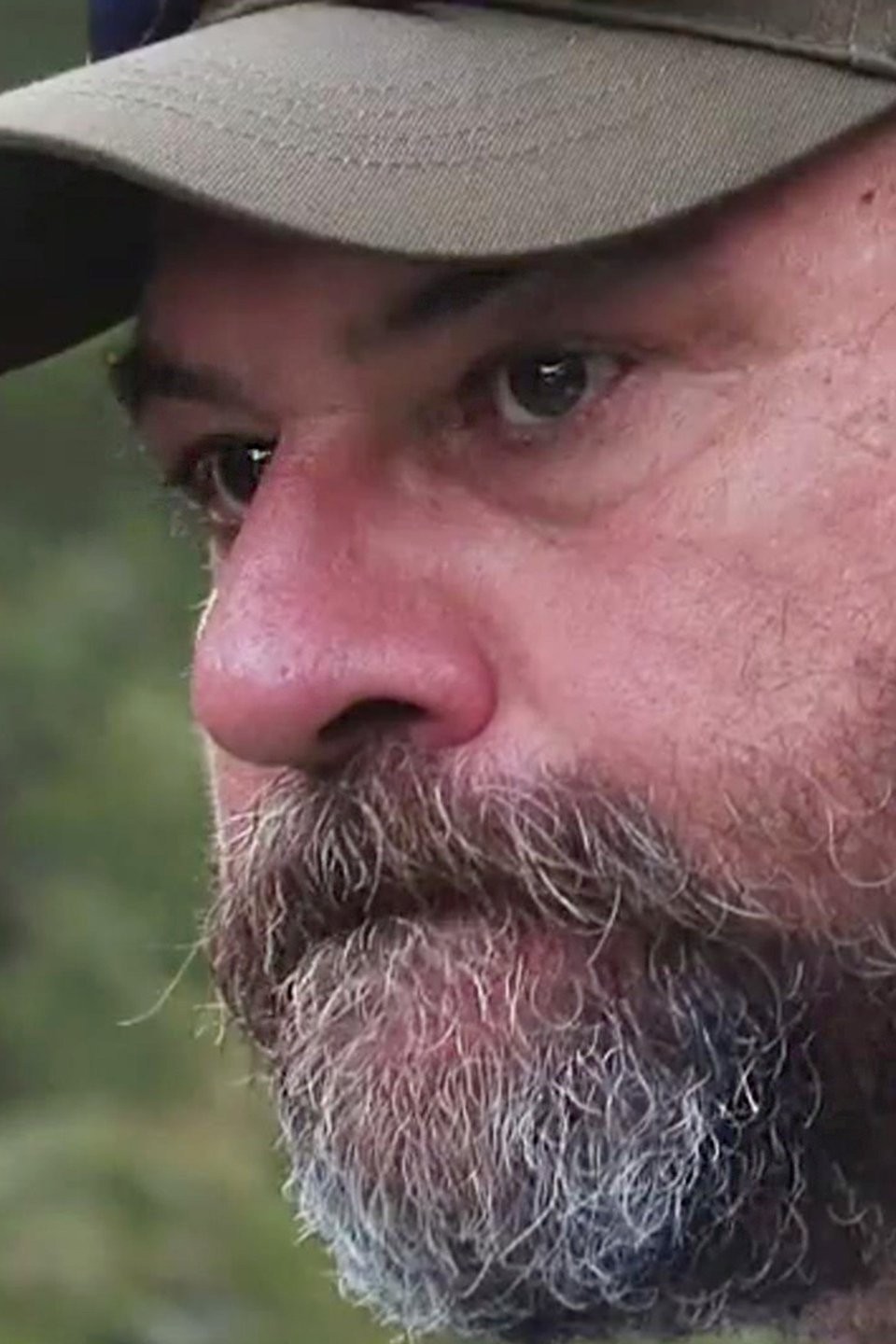 Swamp Invaders Pictures | Rotten Tomatoes