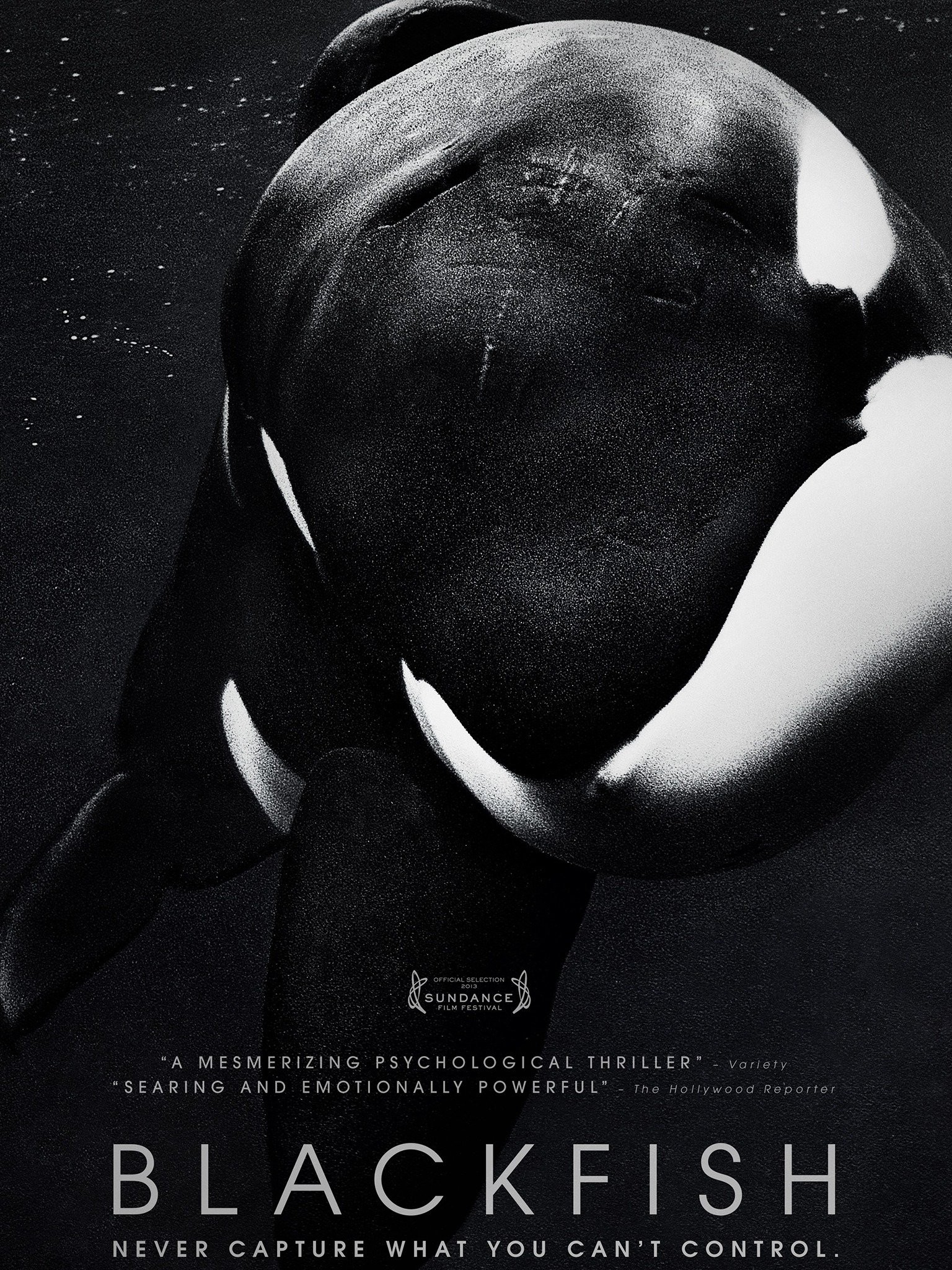 Blackfish Pictures | Rotten Tomatoes