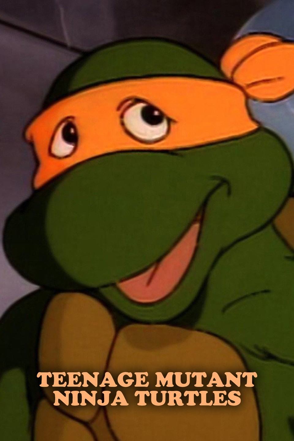 Teenage Mutant Ninja Turtles Season 1 | Rotten Tomatoes