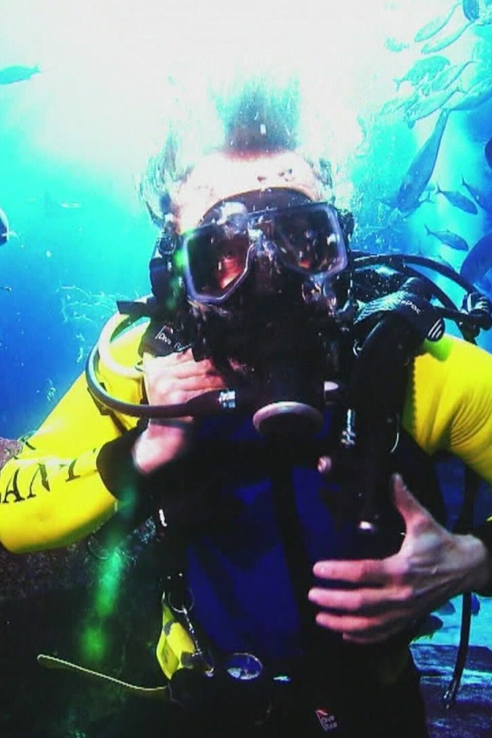 Sara Campbell - Extreme Diving Pictures | Rotten Tomatoes