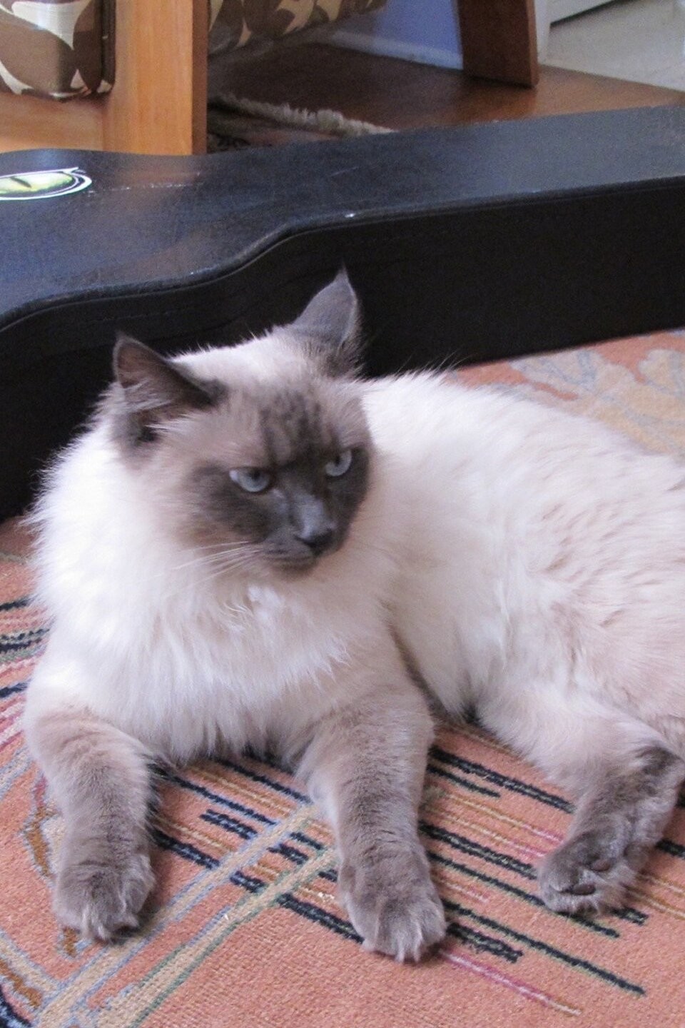 On the War Path Pictures | Rotten Tomatoes