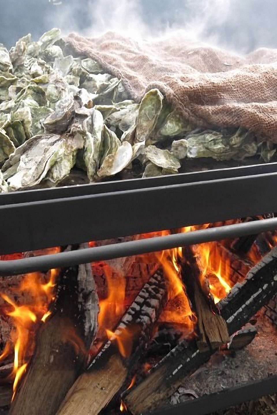 Feasts Over Fire in Hawaii Pictures | Rotten Tomatoes