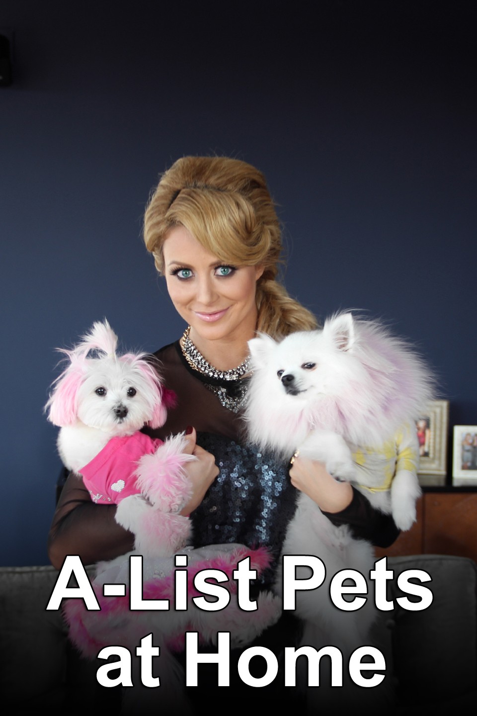 A-List Pets at Home | Rotten Tomatoes