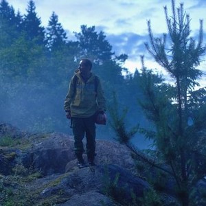 Fire - Rotten Tomatoes