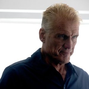 Section 8 - Rotten Tomatoes