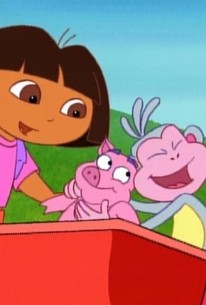 Dora the Explorer: Season 1, Episode 8 | Rotten Tomatoes