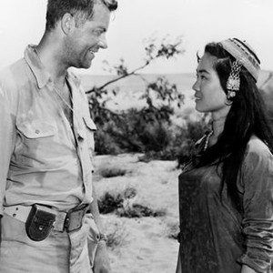 Destination Gobi - Rotten Tomatoes