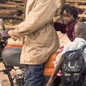 Wrong Elements - Rotten Tomatoes