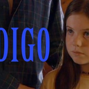 Indigo - Rotten Tomatoes