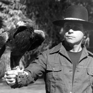 Tom Laughlin - Rotten Tomatoes