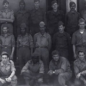 The Blue Lapa - Rotten Tomatoes