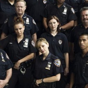 Animal Precinct - Rotten Tomatoes