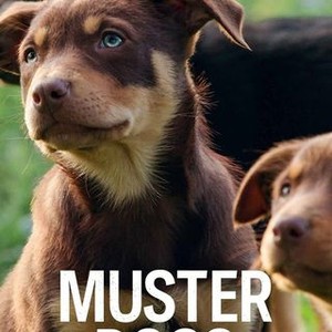 Muster Dogs - Rotten Tomatoes