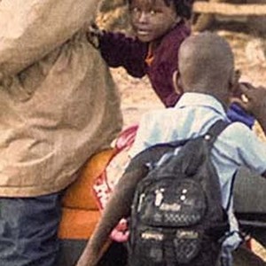 Wrong Elements - Rotten Tomatoes