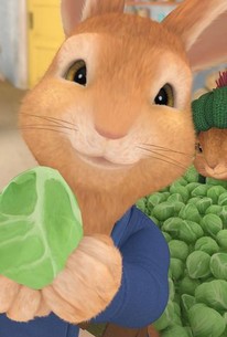 Peter Rabbit: Season 3, Episode 16 | Rotten Tomatoes