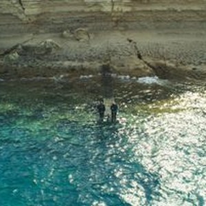 The Dive - Rotten Tomatoes