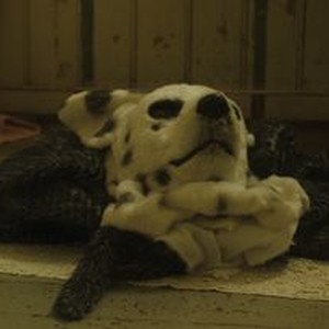 Good Boy - Rotten Tomatoes