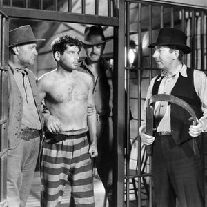 David Landau - Rotten Tomatoes