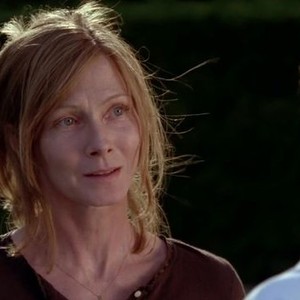 Everwood: Season 2, Episode 1 - Rotten Tomatoes