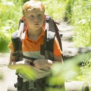 Brennan Williams - Rotten Tomatoes