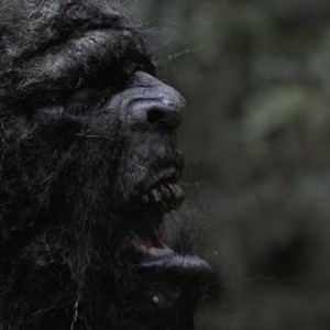 Stomping Ground - Rotten Tomatoes