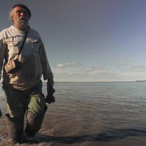 Pleistocene Park - Rotten Tomatoes