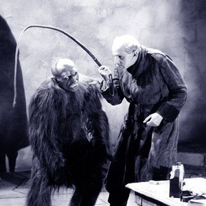 The Wizard - Rotten Tomatoes