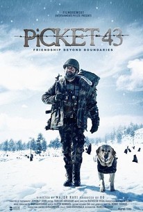 Picket 43 | Rotten Tomatoes