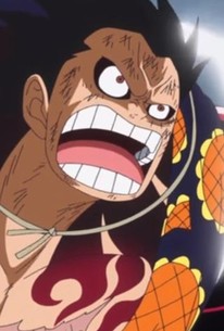 One Piece: Season 17, Episode 100 | Rotten Tomatoes