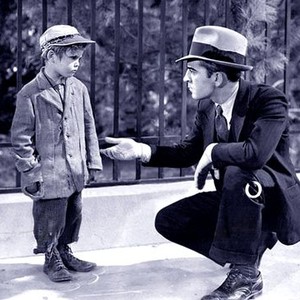 The Expert - Rotten Tomatoes