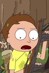Rick and Morty: Season 2, Episode 6 | Rotten Tomatoes