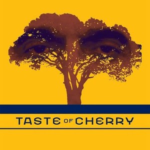 Taste of Cherry - Rotten Tomatoes